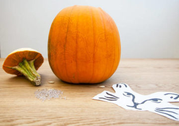 Comment sculpter une citrouille pour Halloween ? - Salut Kitty