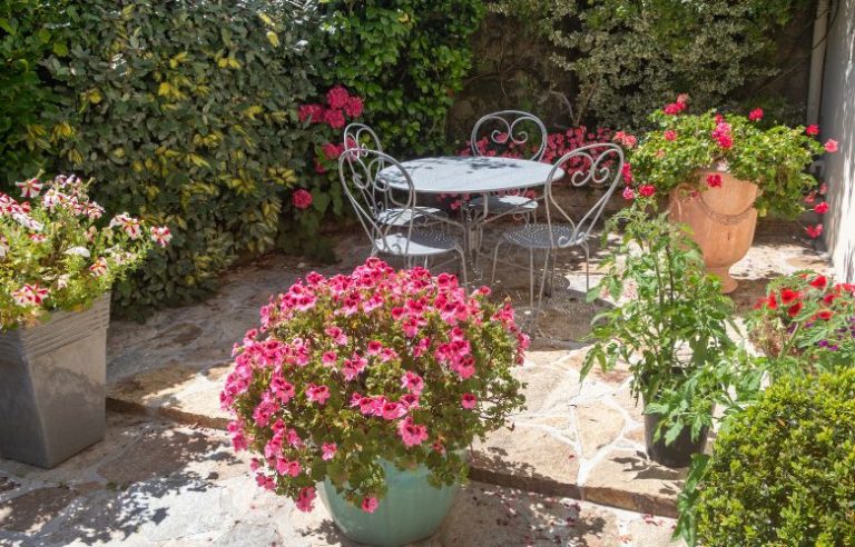 Terrasse fleurie : Découvrez une liste de plantes à fleurs
